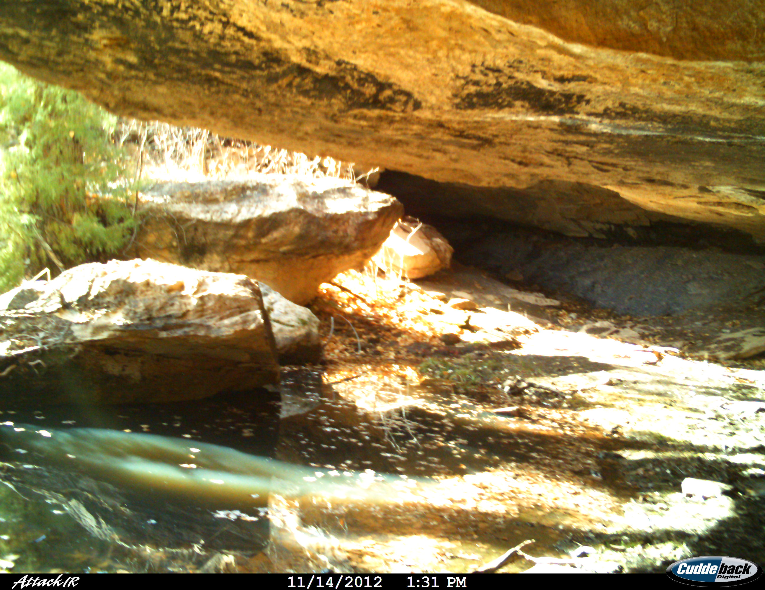 PCMS Wildlife Photos - Fort Carson - iSportsman